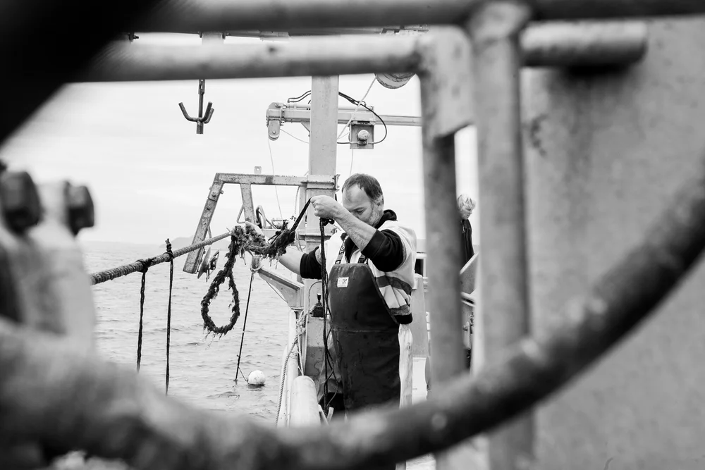 About Us — Sea Forest