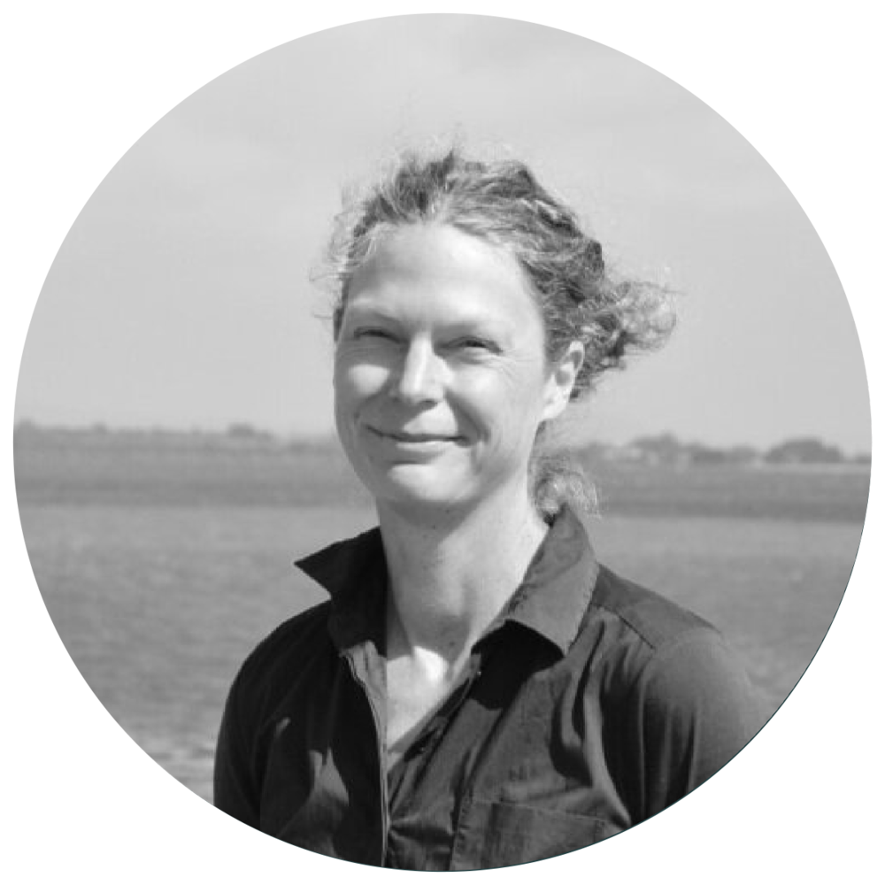 About Us — Sea Forest