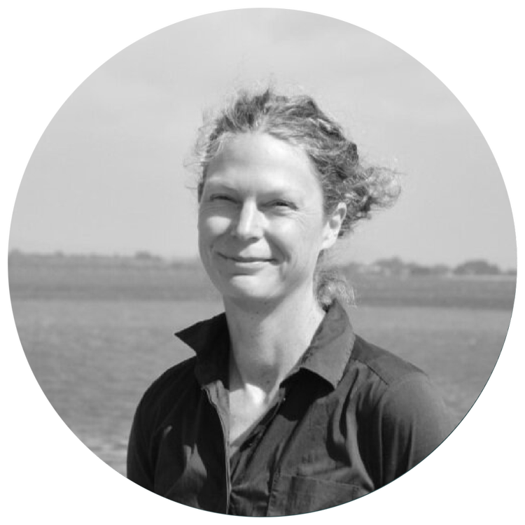 About Us — Sea Forest