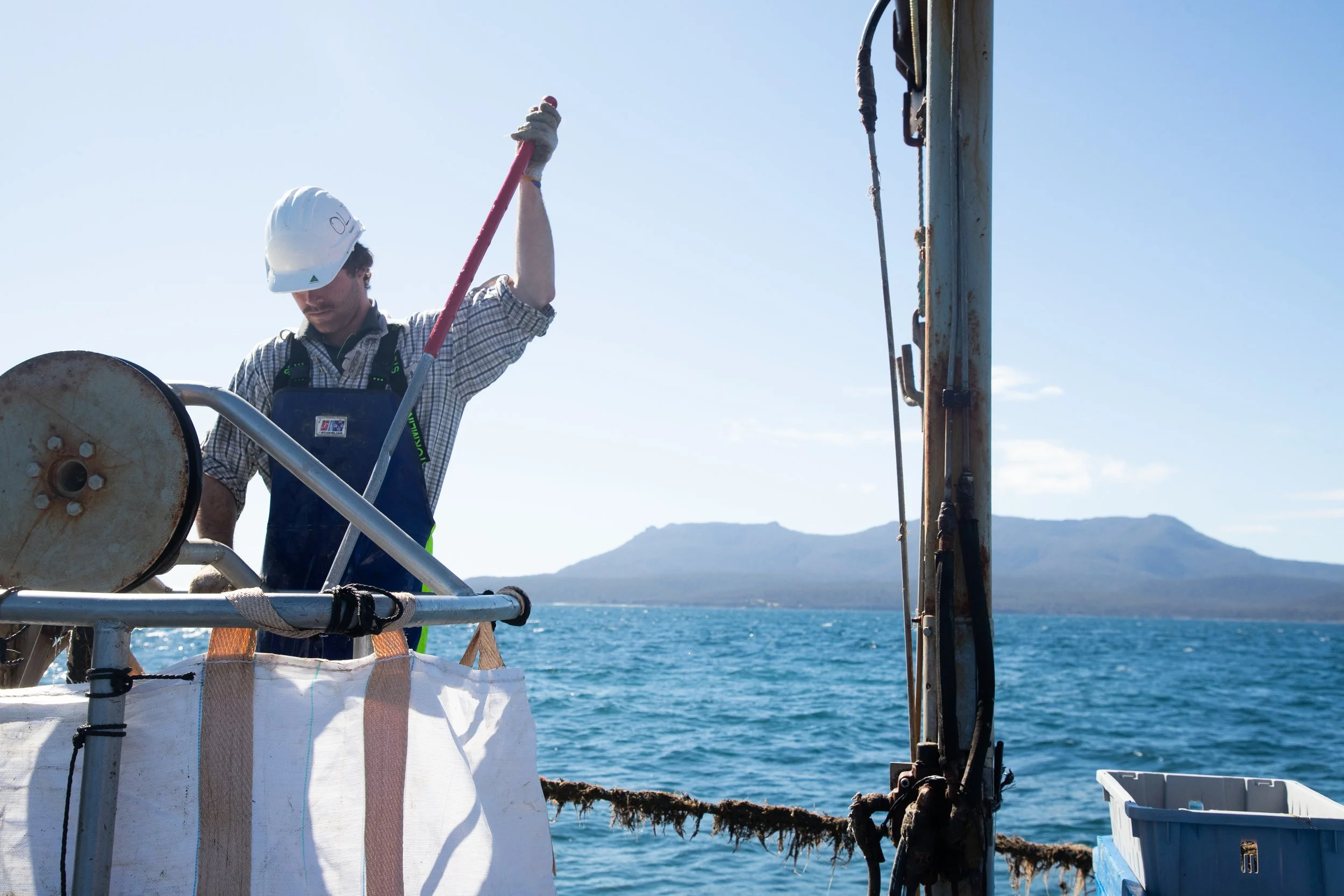 Careers — Sea Forest