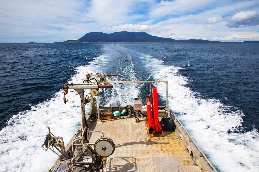 About Us — Sea Forest