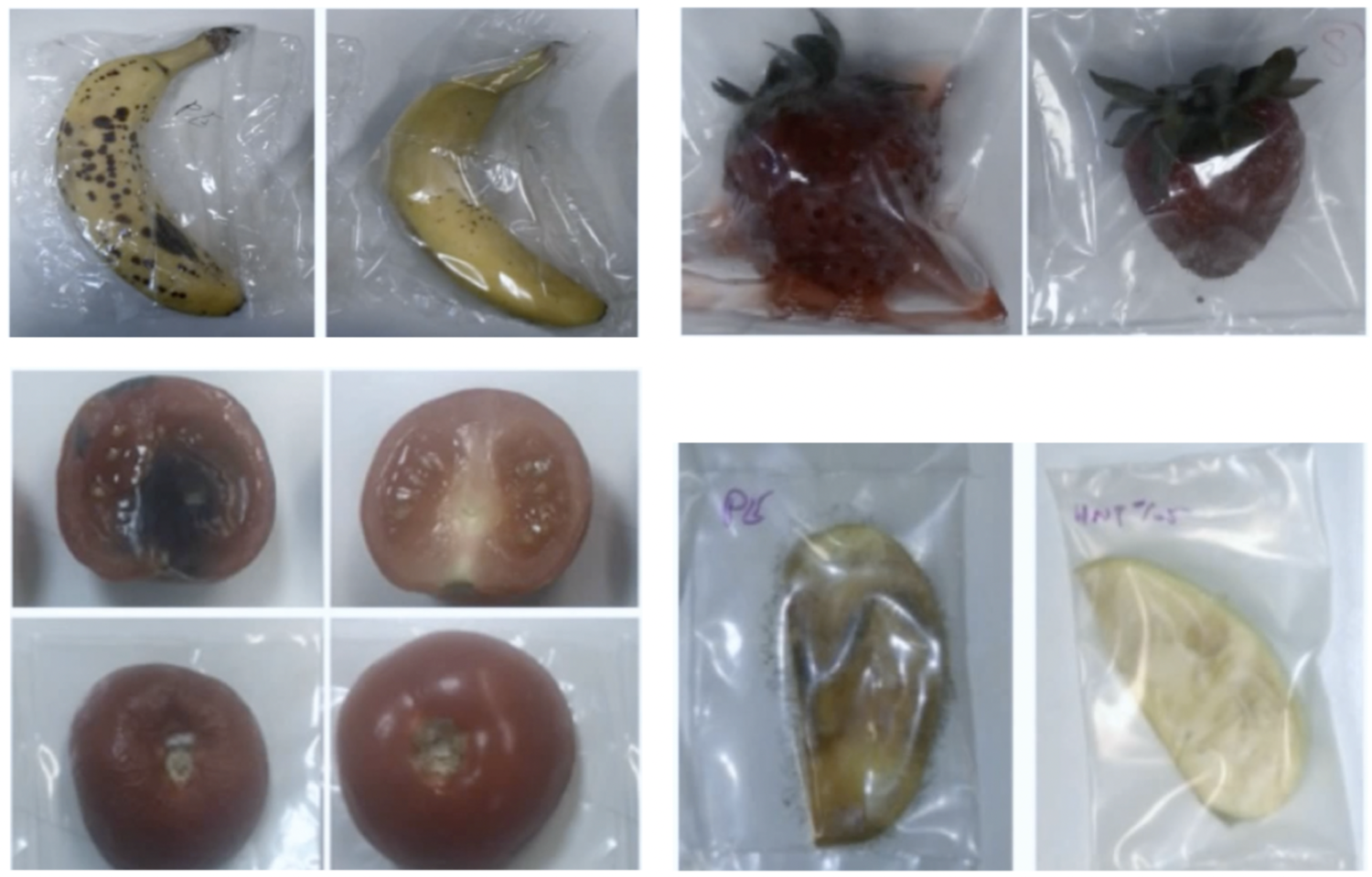 Saniconcentrate™ | Antimicrobial Plastic for Food Contact Plastic ...