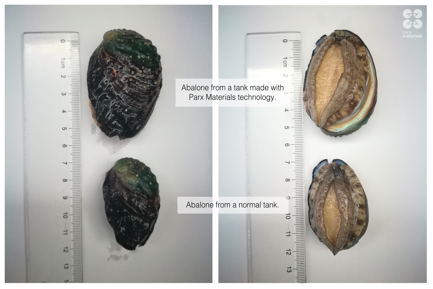 Resolving biofouling in marine aquaculture and increasing yield. — Parx ...