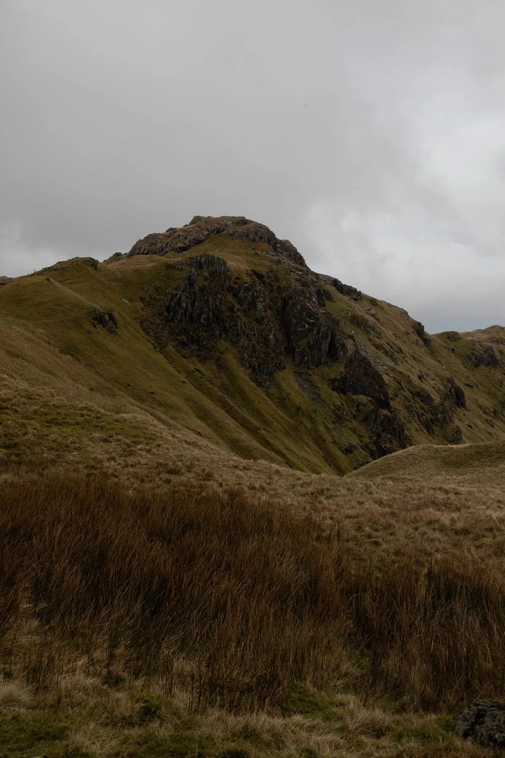 Laura BC PREMIUM Lightroom Presets Pack — LAURA BC | Photographer ...