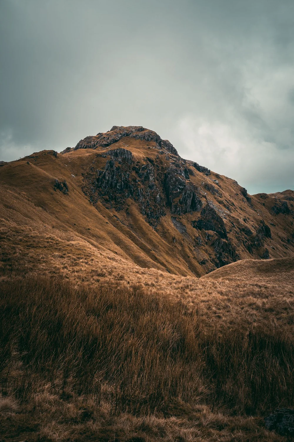 Laura BC PREMIUM Lightroom Presets Pack — LAURA BC | Photographer ...