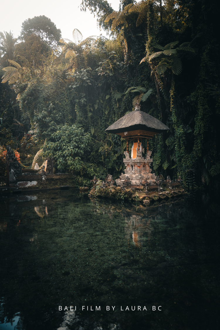 Laura BC Lightroom Presets | The Editorial Collection — LAURA BC ...