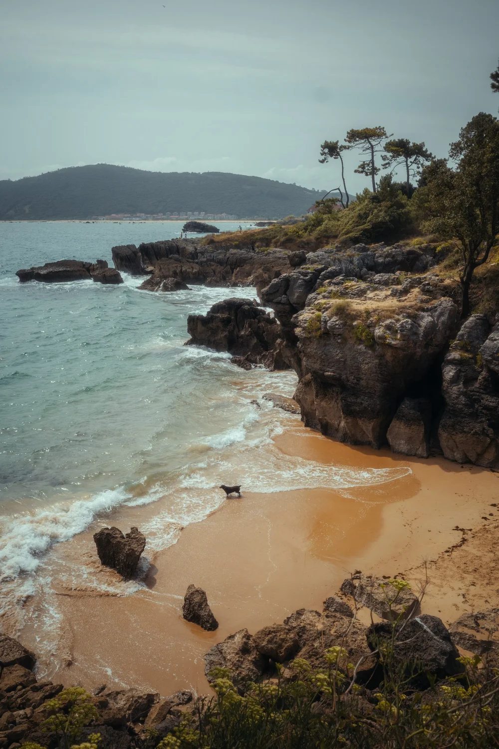 Shop — LAURA BC | Photographer & Creative Director