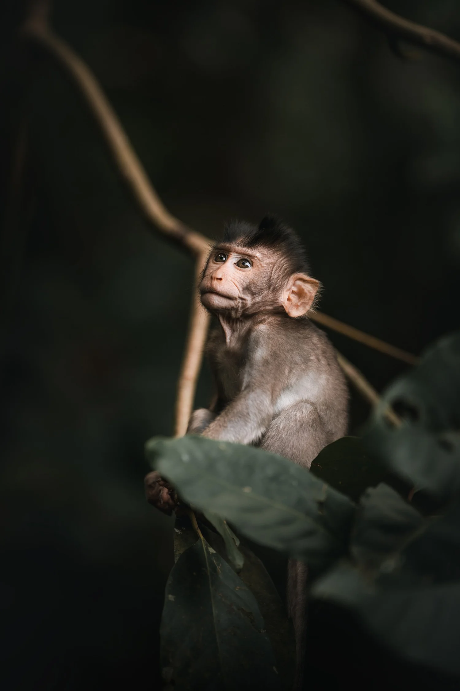 Laura BC Lightroom Presets | The Editorial Collection — LAURA BC ...