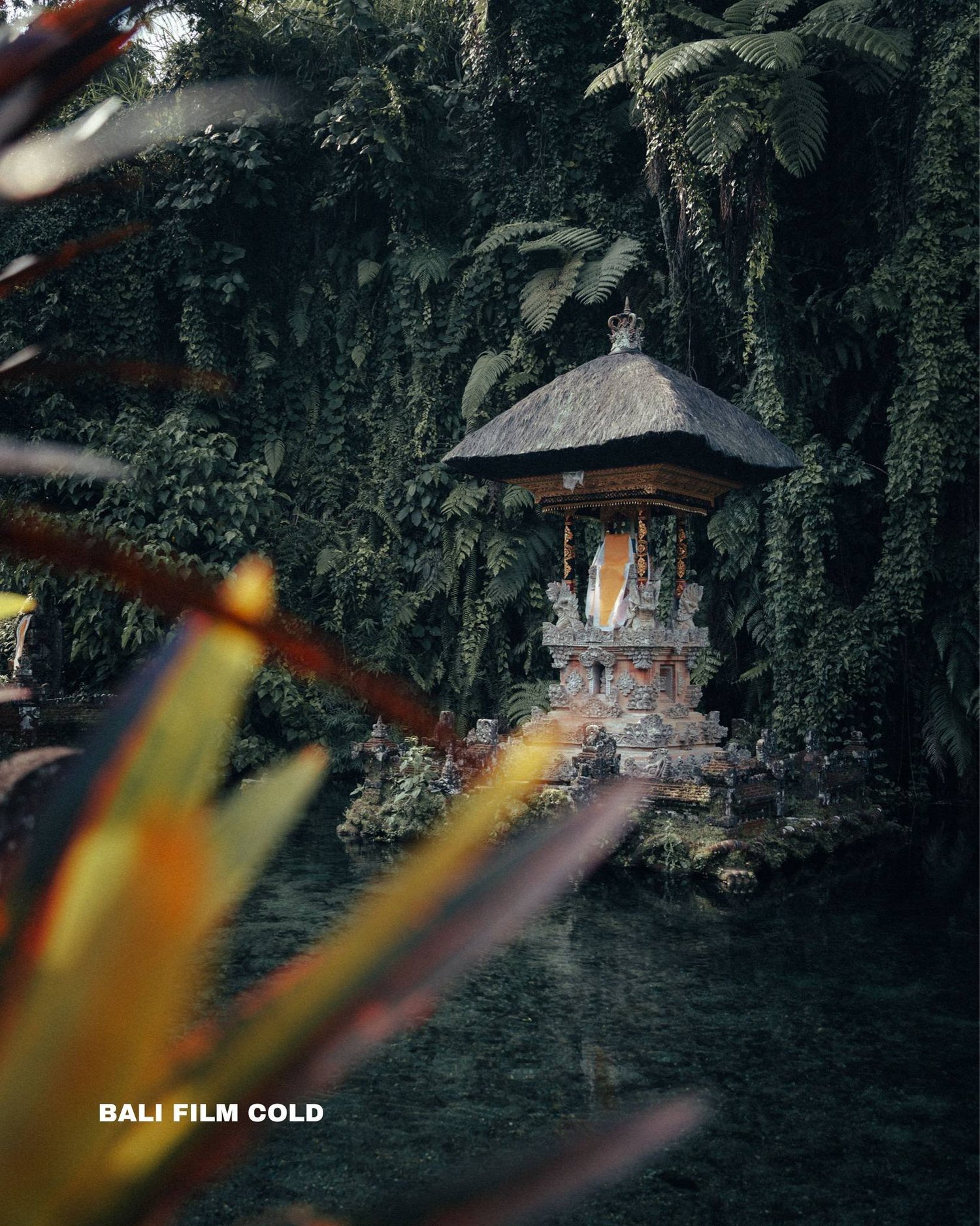Laura BC Lightroom Presets | The Editorial Collection — LAURA BC ...