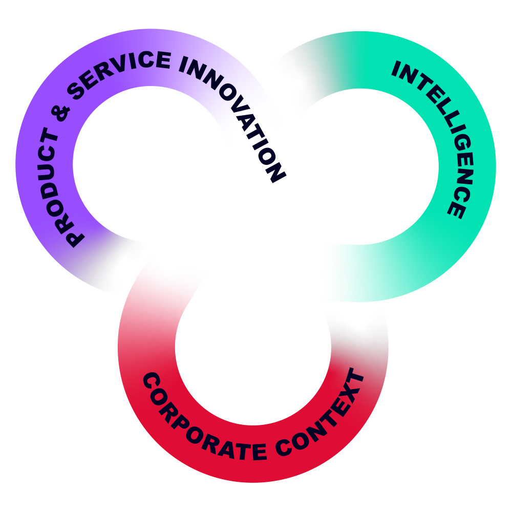 How We Work — Wings for Fish