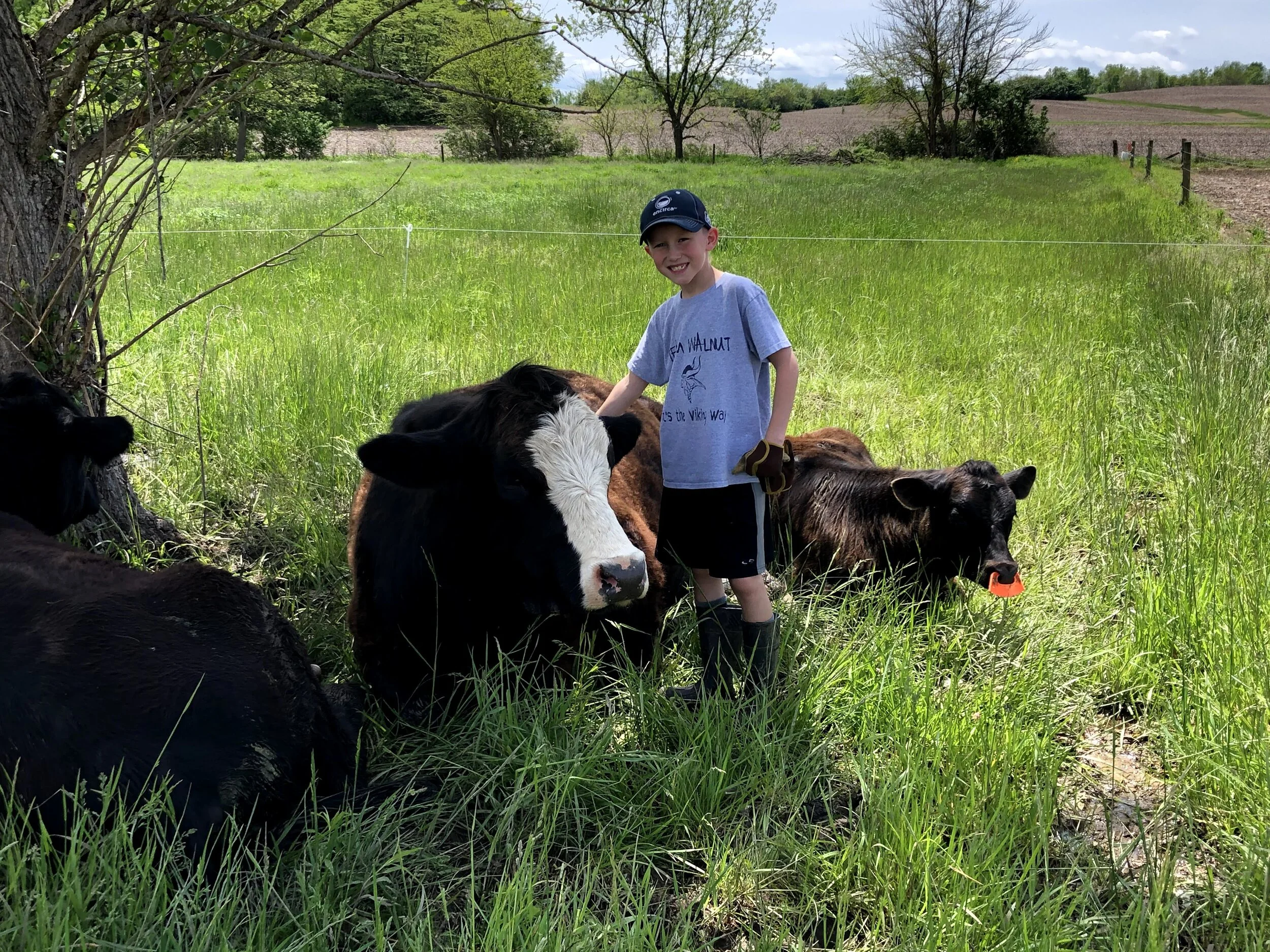 County Line Meats | Locally Raised Beef & Chicken