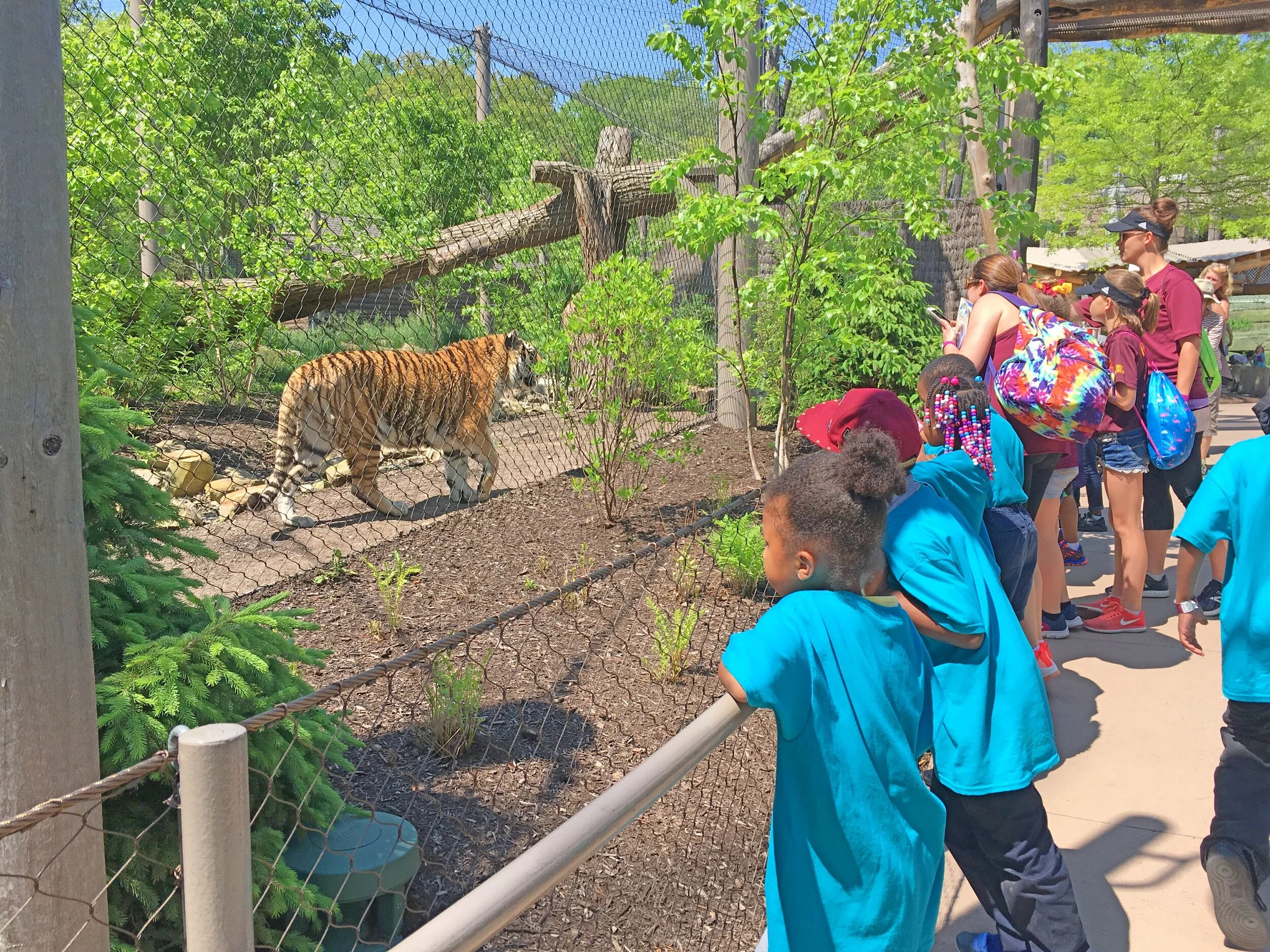 Home — The Edge Academy