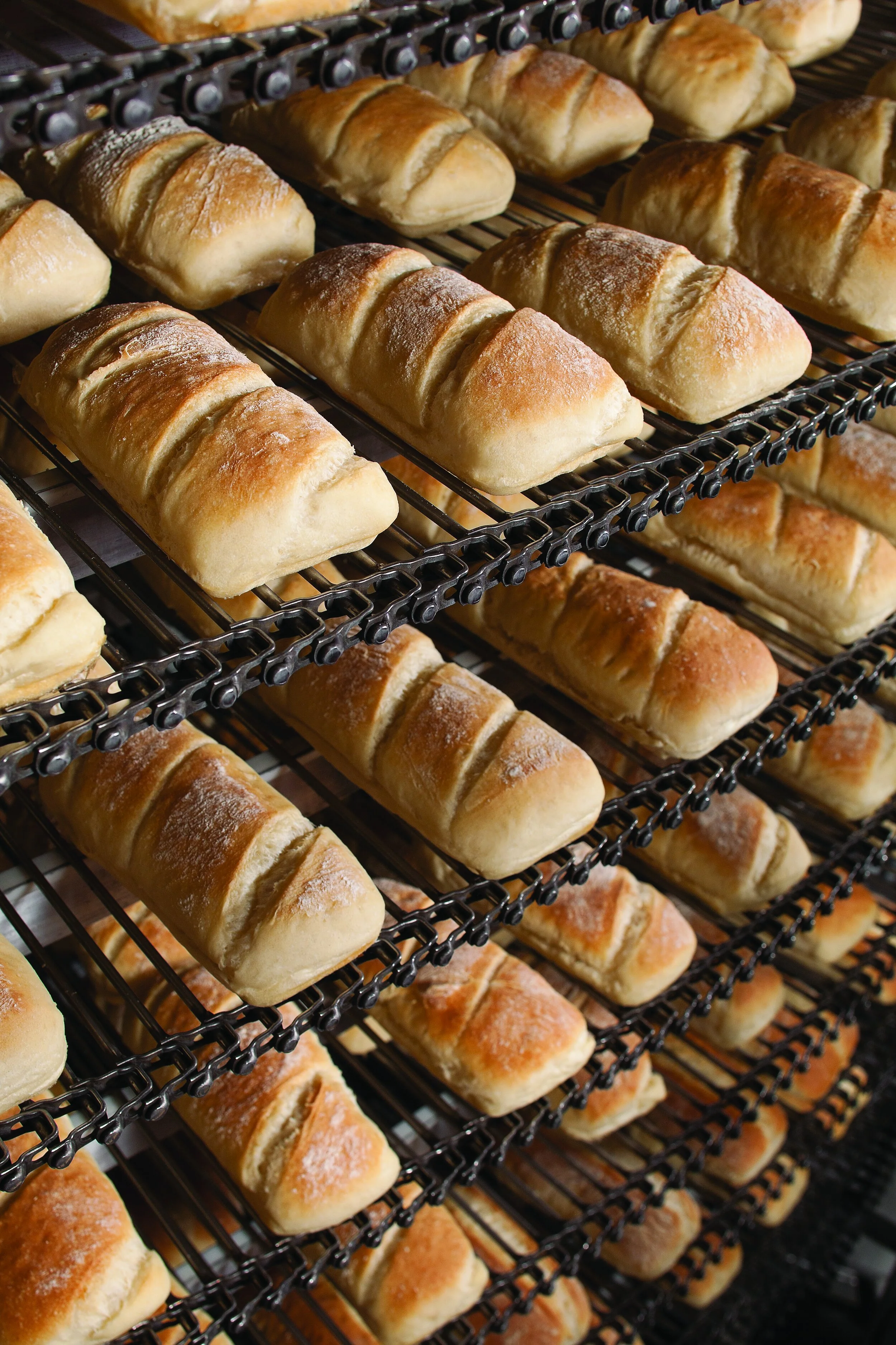 Maggiora Baking Company