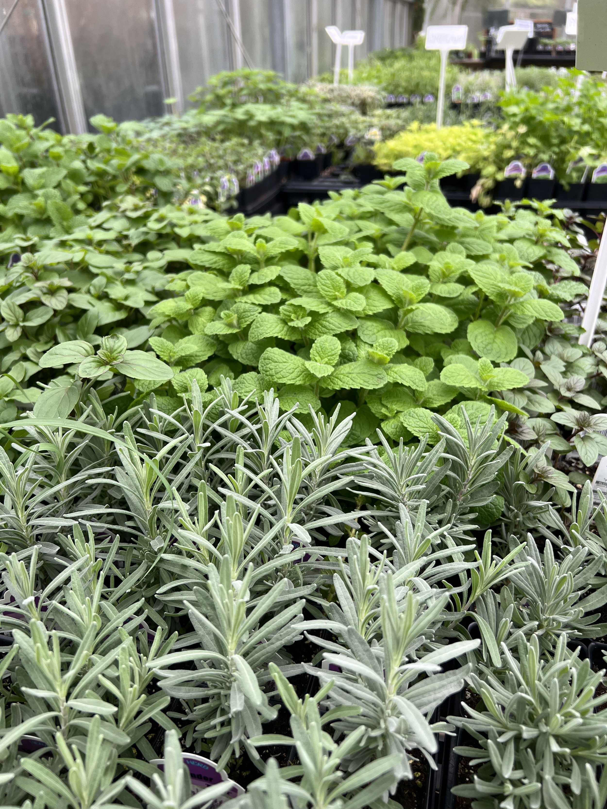 Green Fields Nursery & Landscaping Co.