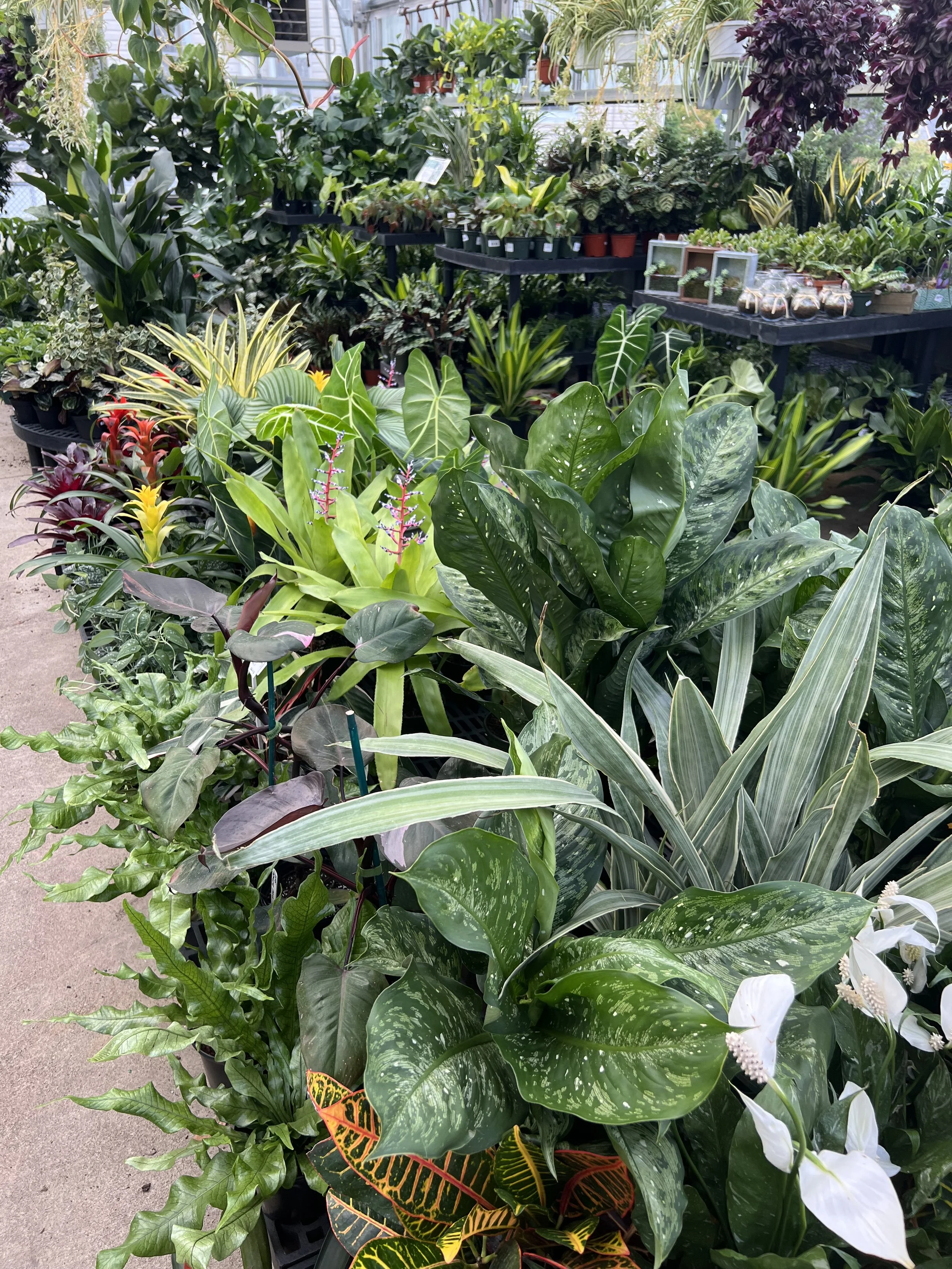 Green Fields Nursery & Landscaping Co.