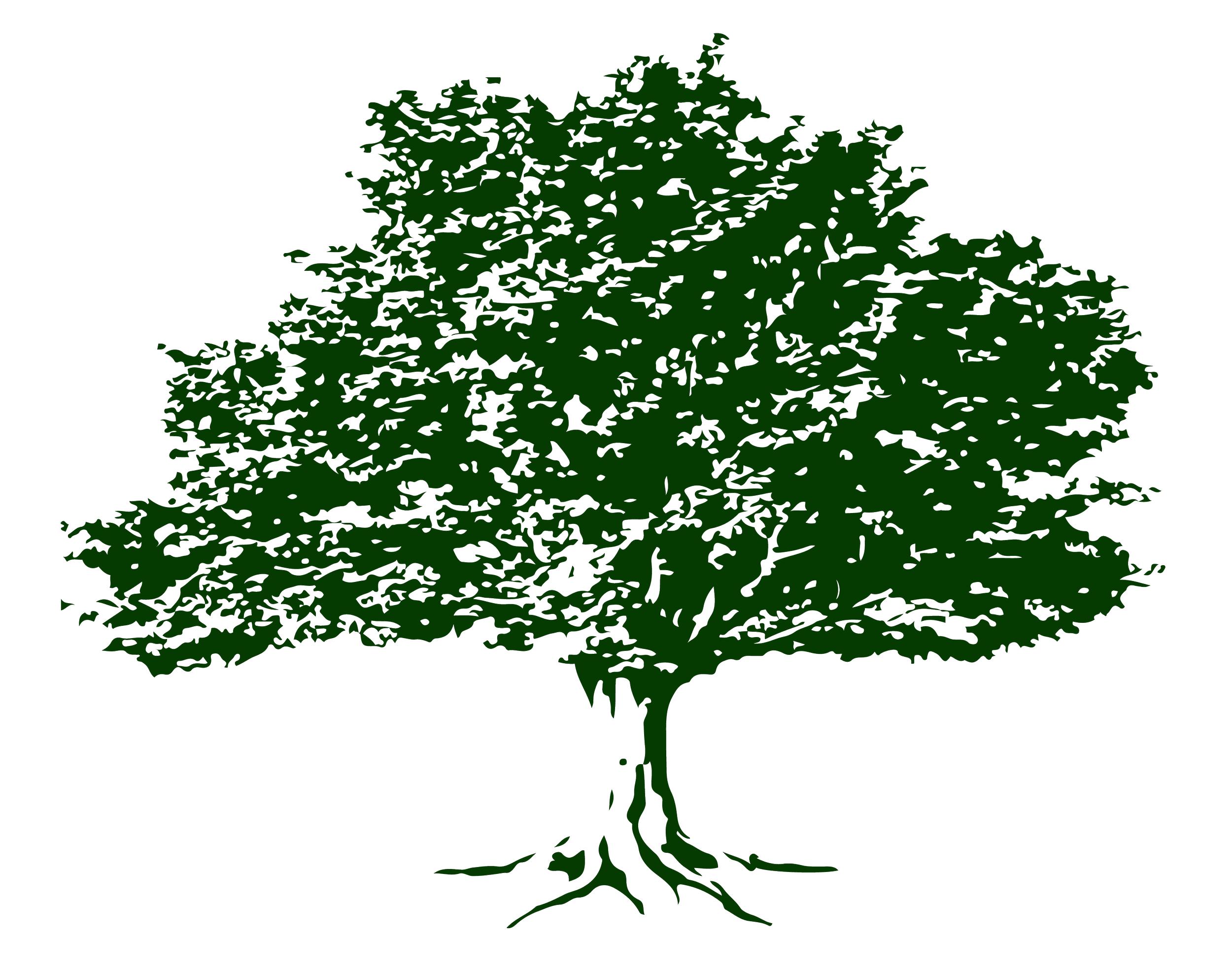 Green Fields Nursery | Baltimore, Maryland