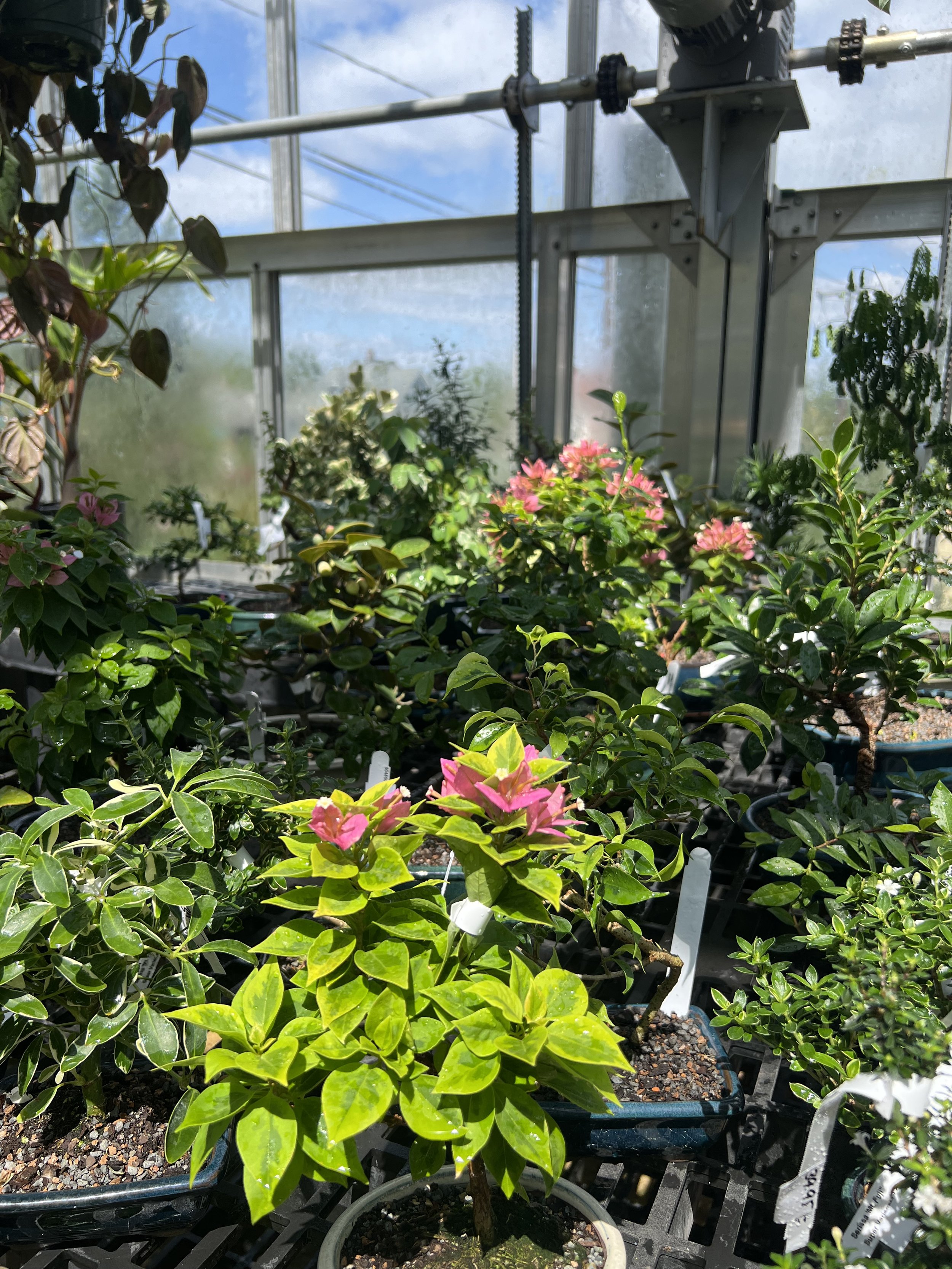 Green Fields Nursery & Landscaping Co.