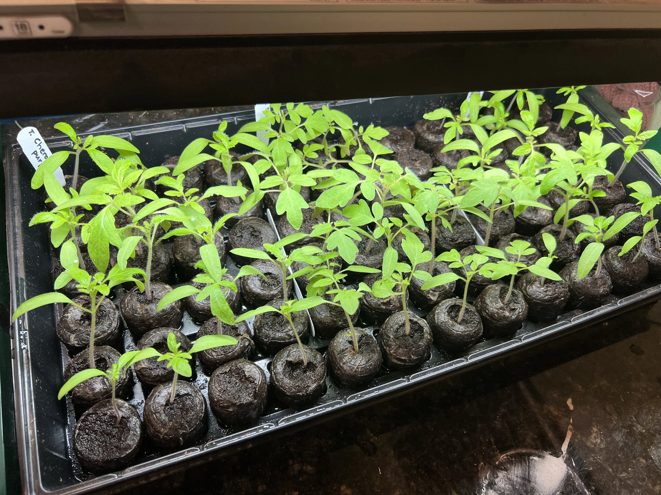 Green Fields Nursery & Landscaping Co.