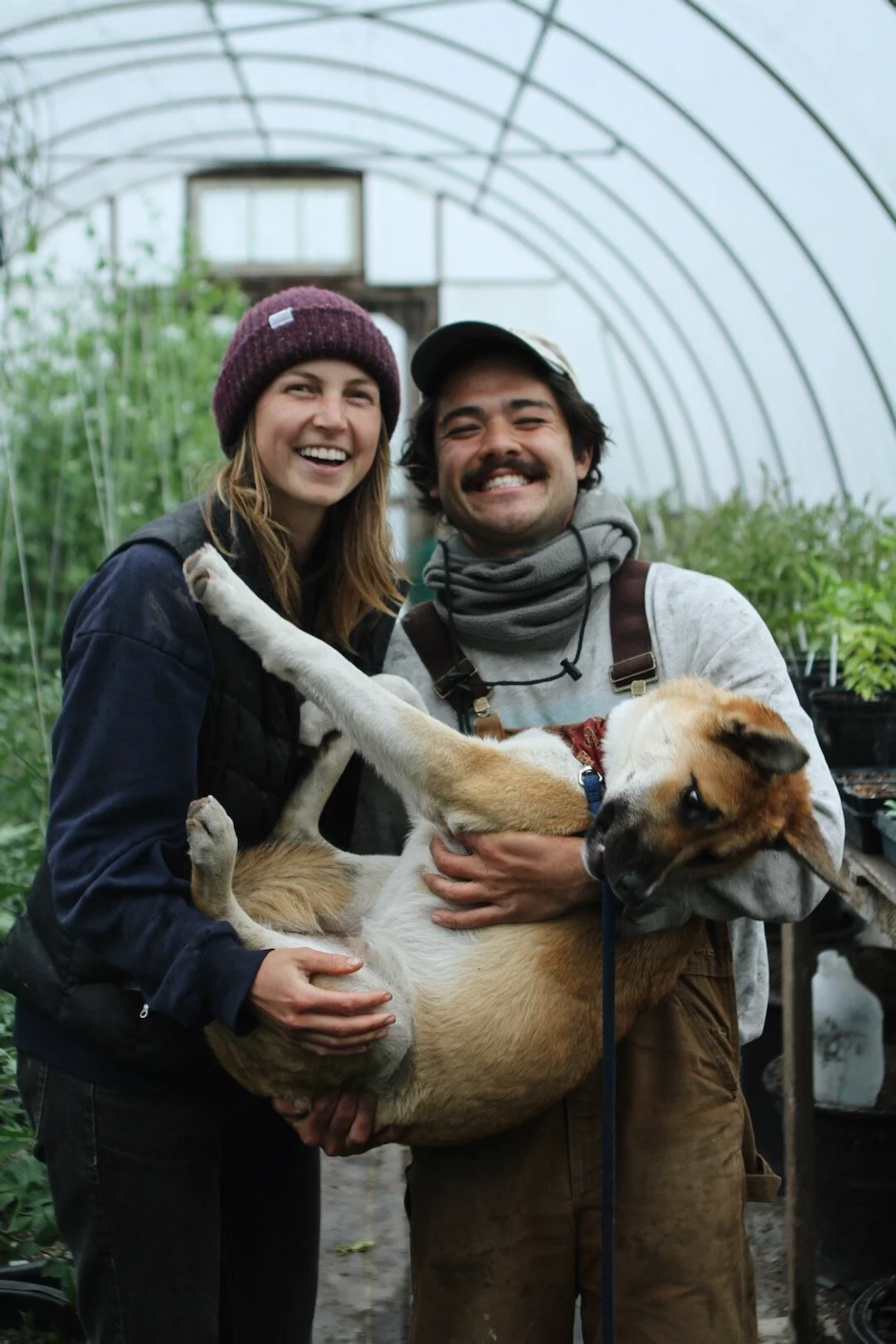 About Us — Makanai Farm