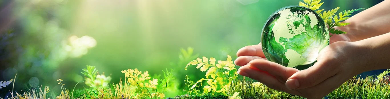 Mayzon - Solutions for Everyday Living