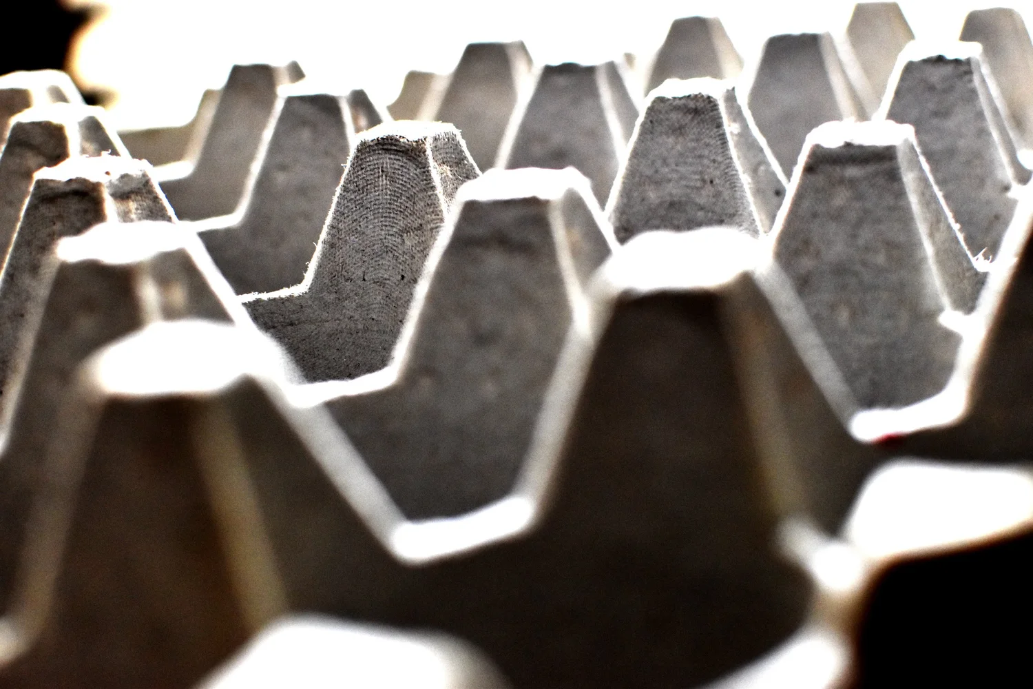 Mayzon - Solutions for Everyday Living