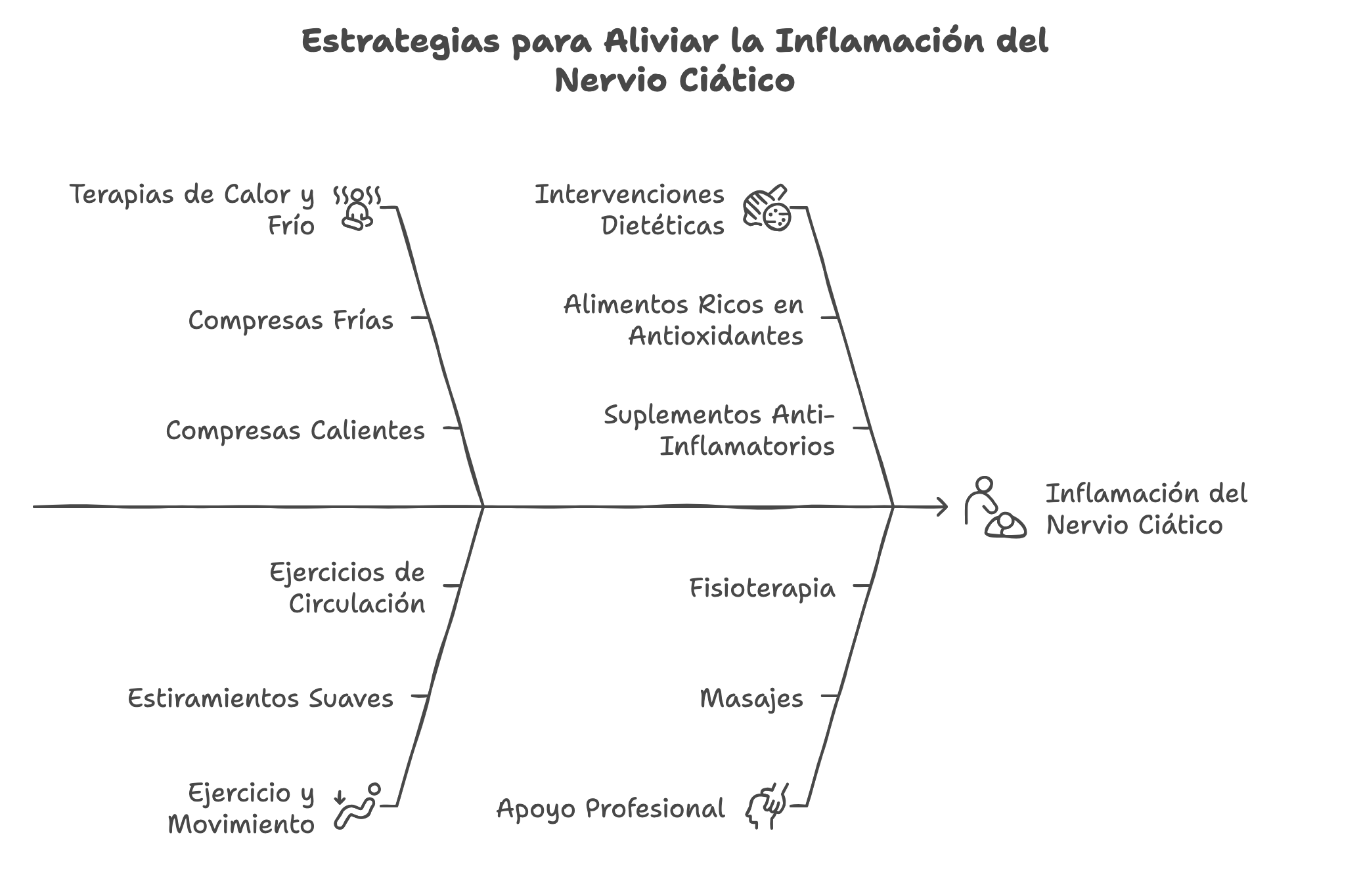 Tratamiento de Nervio Ciático: Guía Completa — Dr. Andres Gamboa — Dr ...