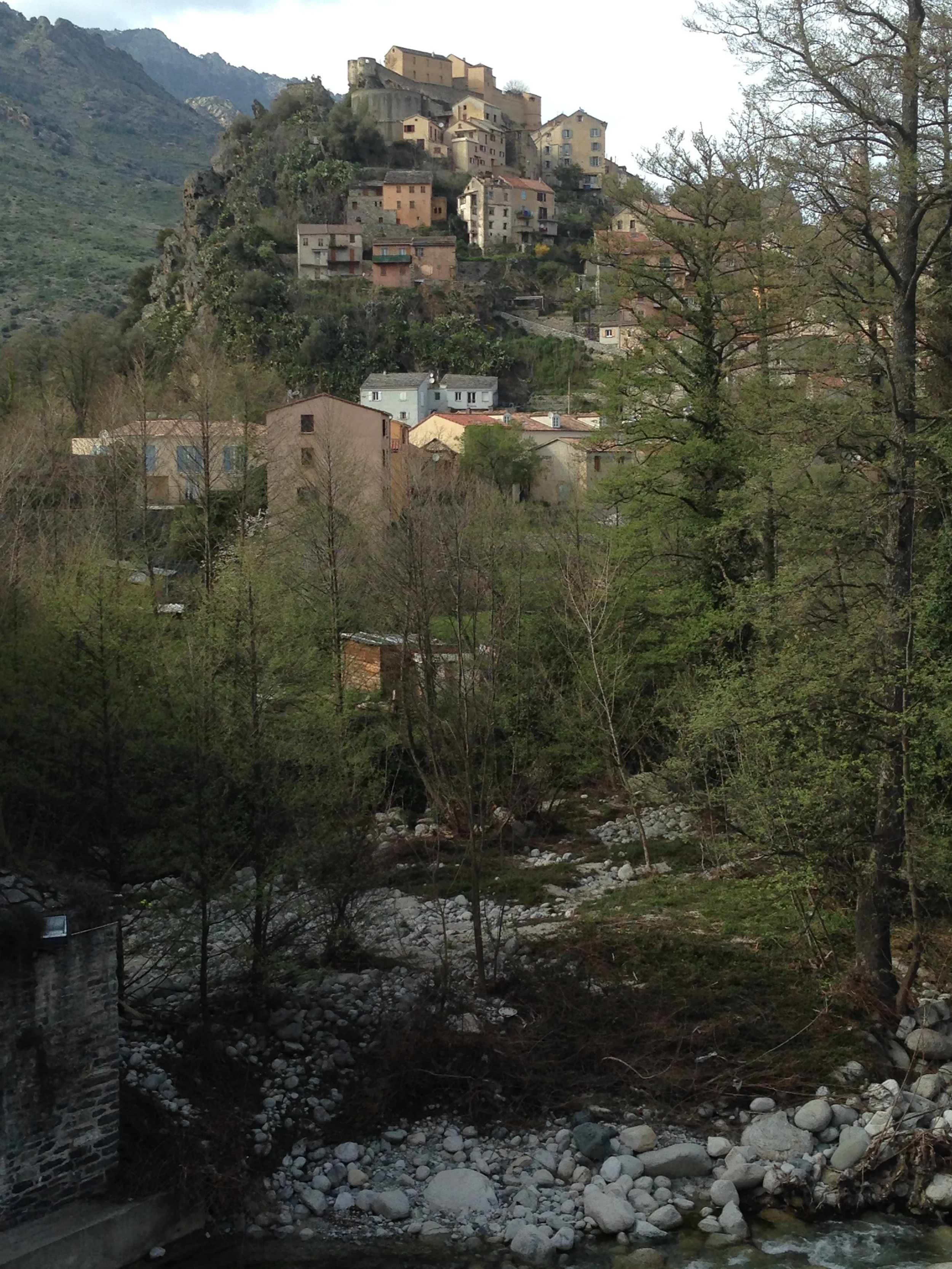 Footnotes from Corsica — Terry Repak | Author