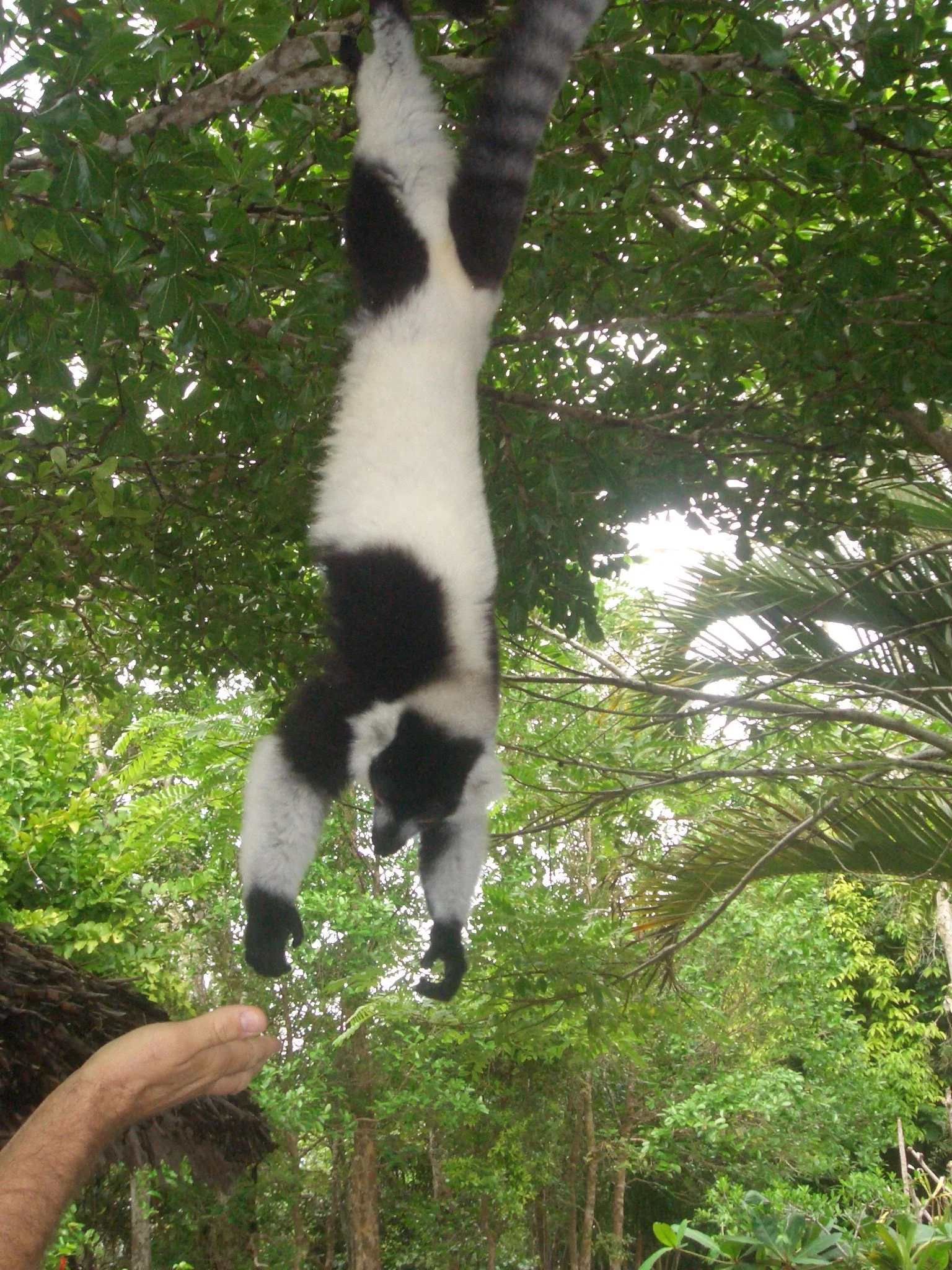 Timeless Images — Terry Repak | Author