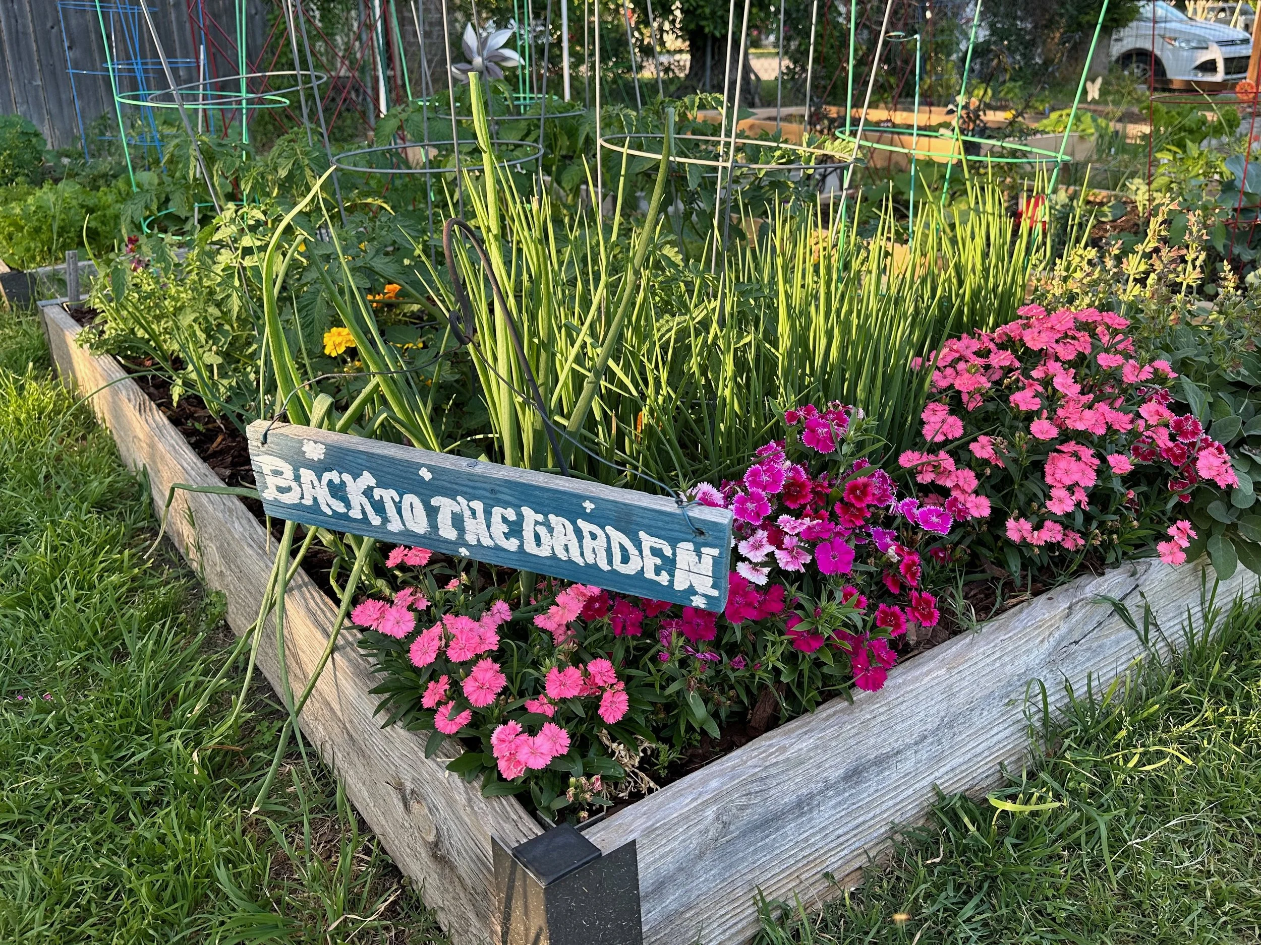 Community Garden Ideas