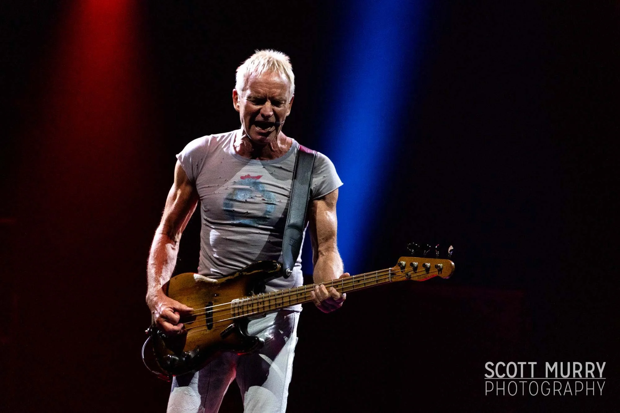 Sting — Secret Boston
