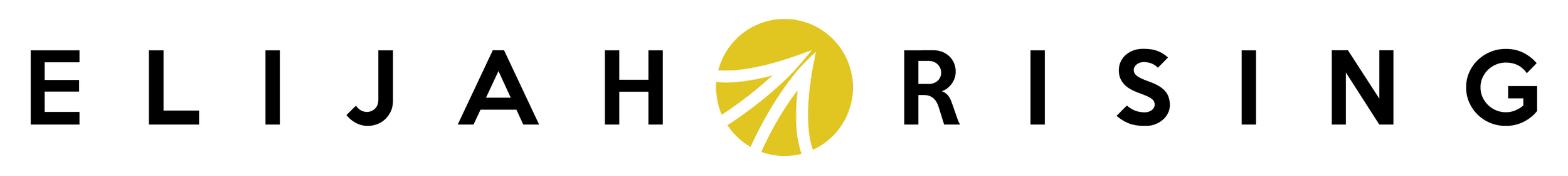 Partner Spotlight : Elijah Rising — Rescue America