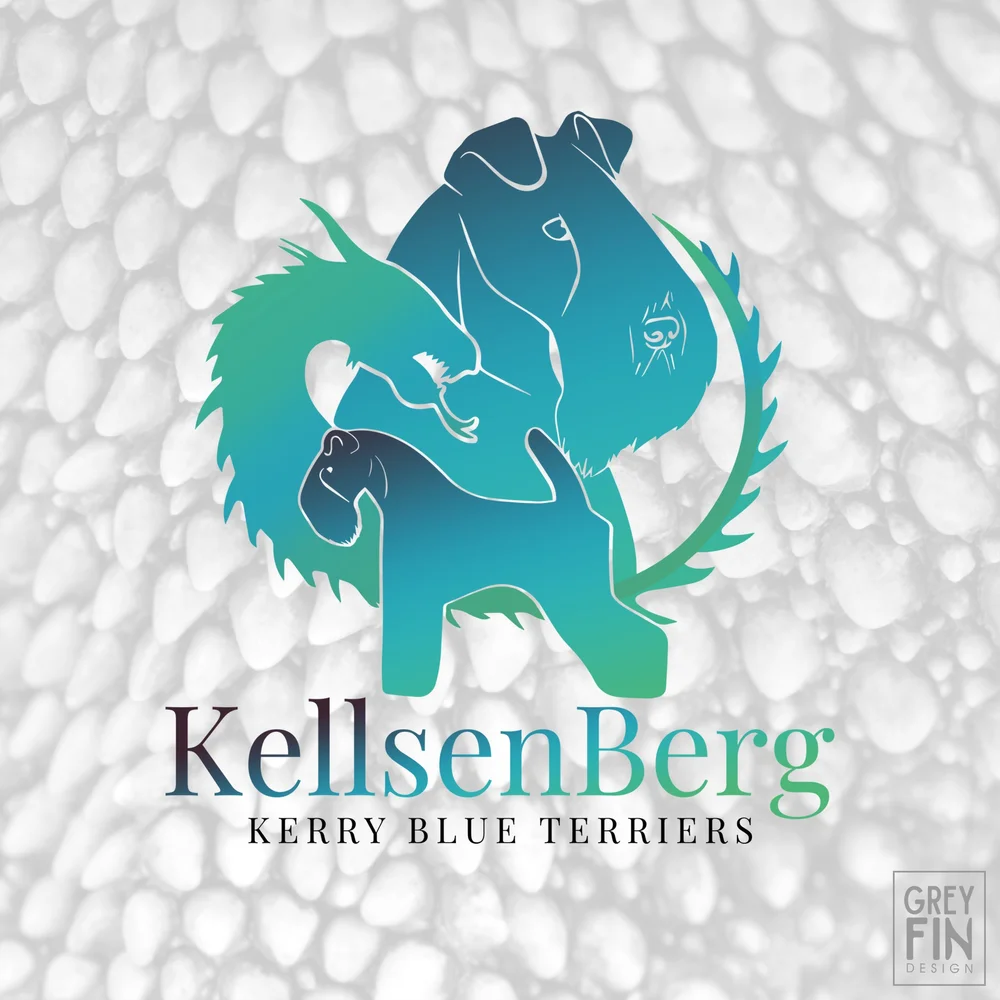 Logo Design — Grey Fin Design