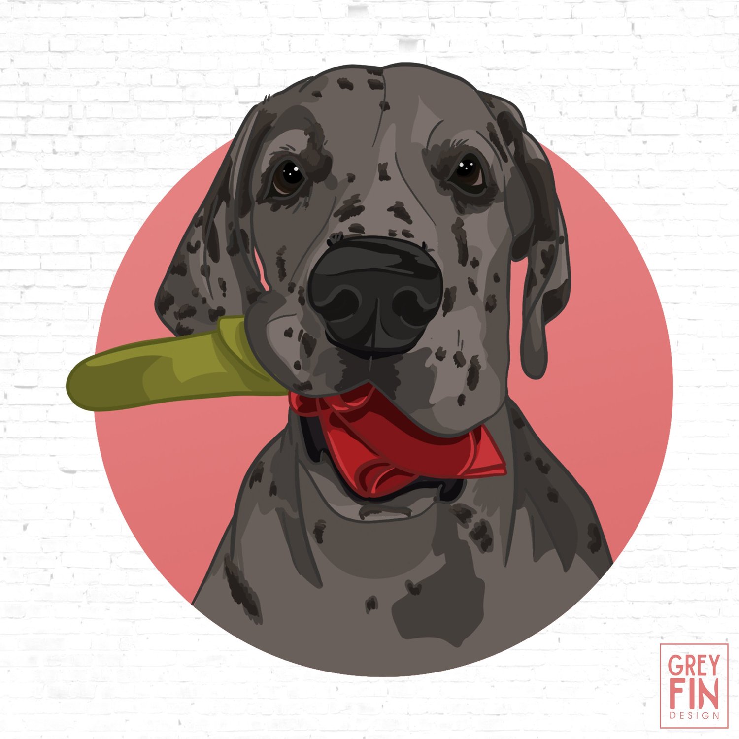 Home — Grey Fin Design