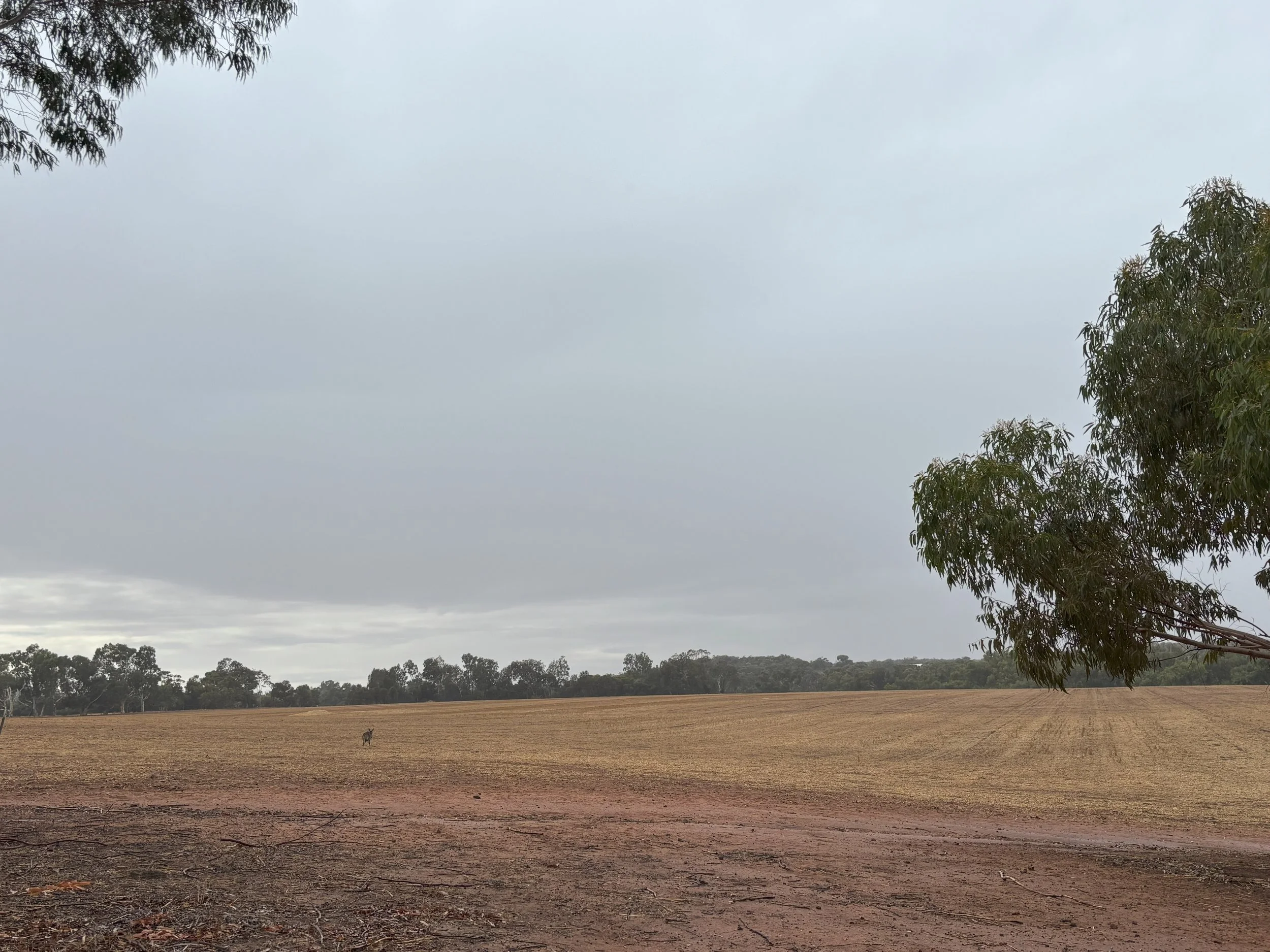 Nukara Farm: Your Eco-Conscious Space for Weddings, Retreats, & Camps in WA