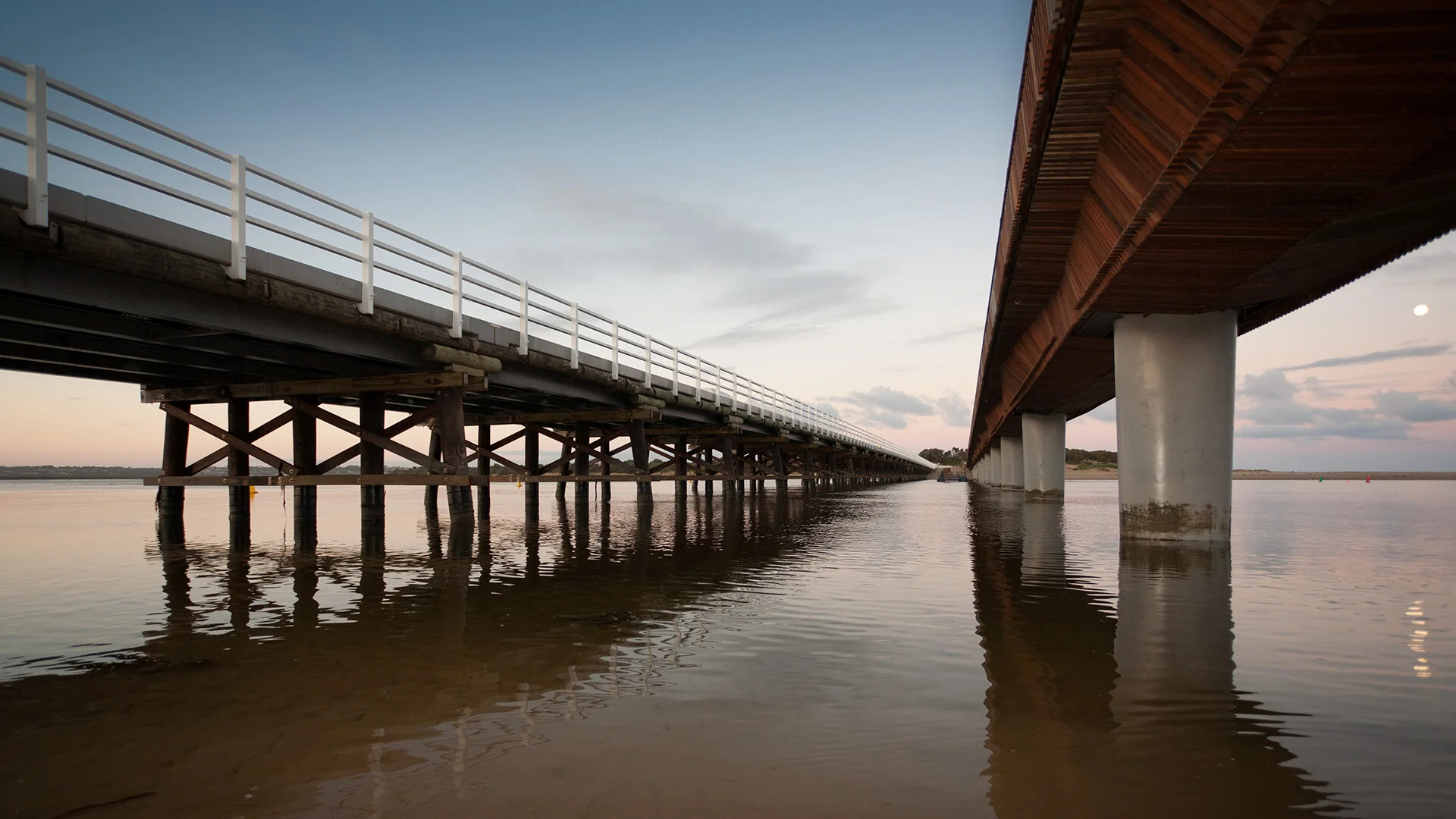 William Buckley Pedestrian Bridge — Peter Elliott Architecture + Urban ...