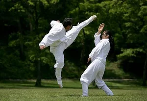 Episode 355 - Taekkyeon — whistlekick Martial Arts Radio