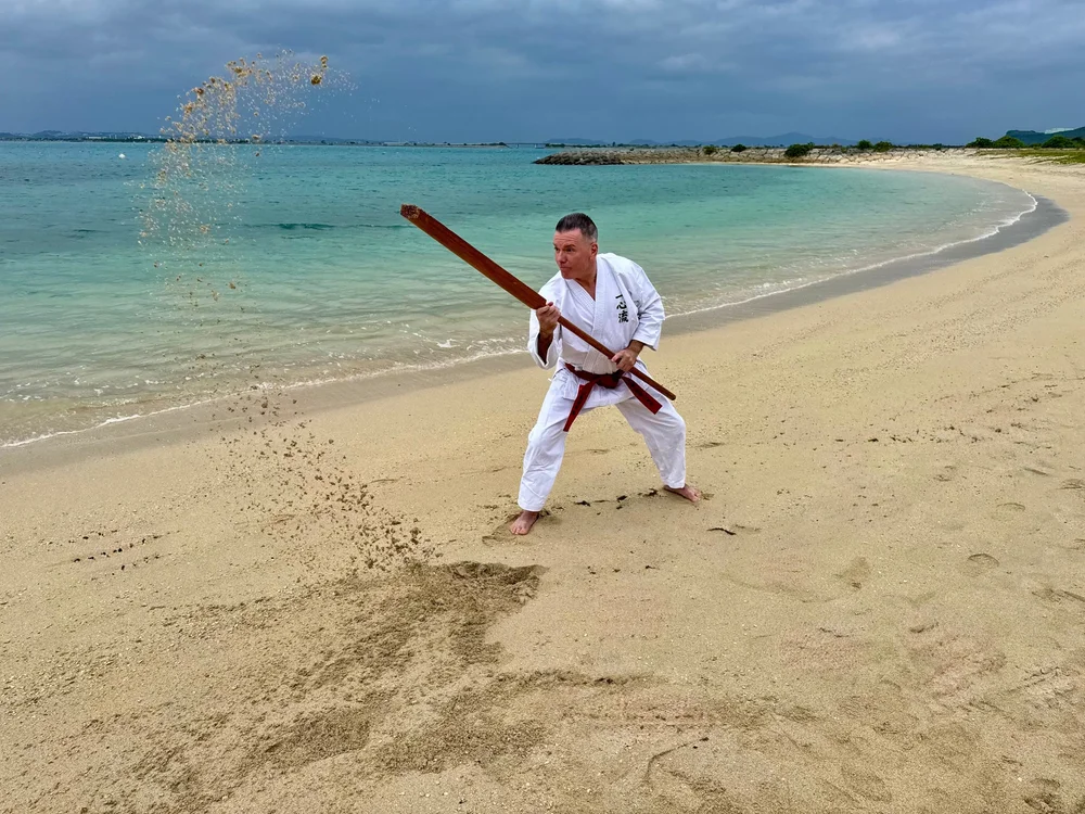 Episode 1016 - Michael Calandra — whistlekick Martial Arts Radio