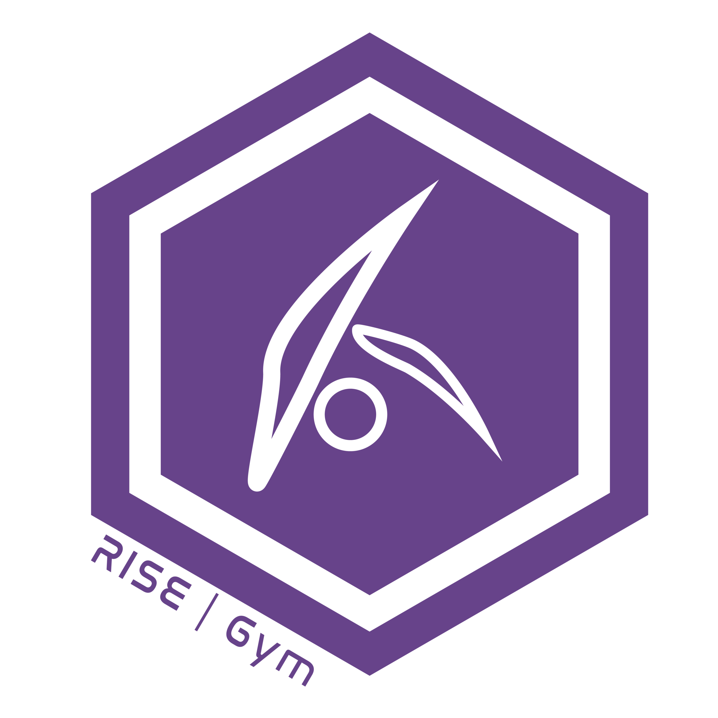 THE RISE GYM