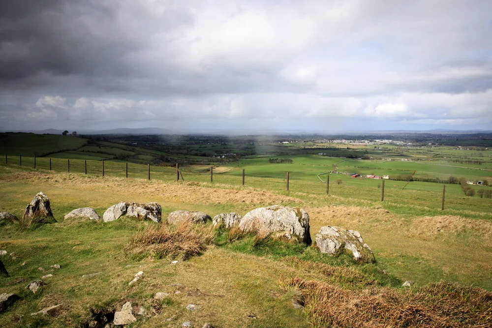 Bookings — Libby Wagner