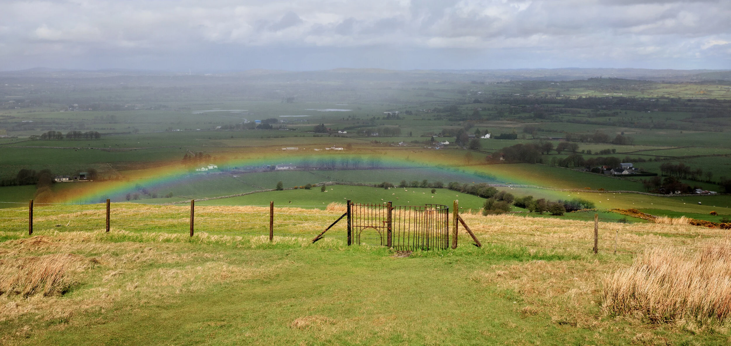 Services — Libby Wagner