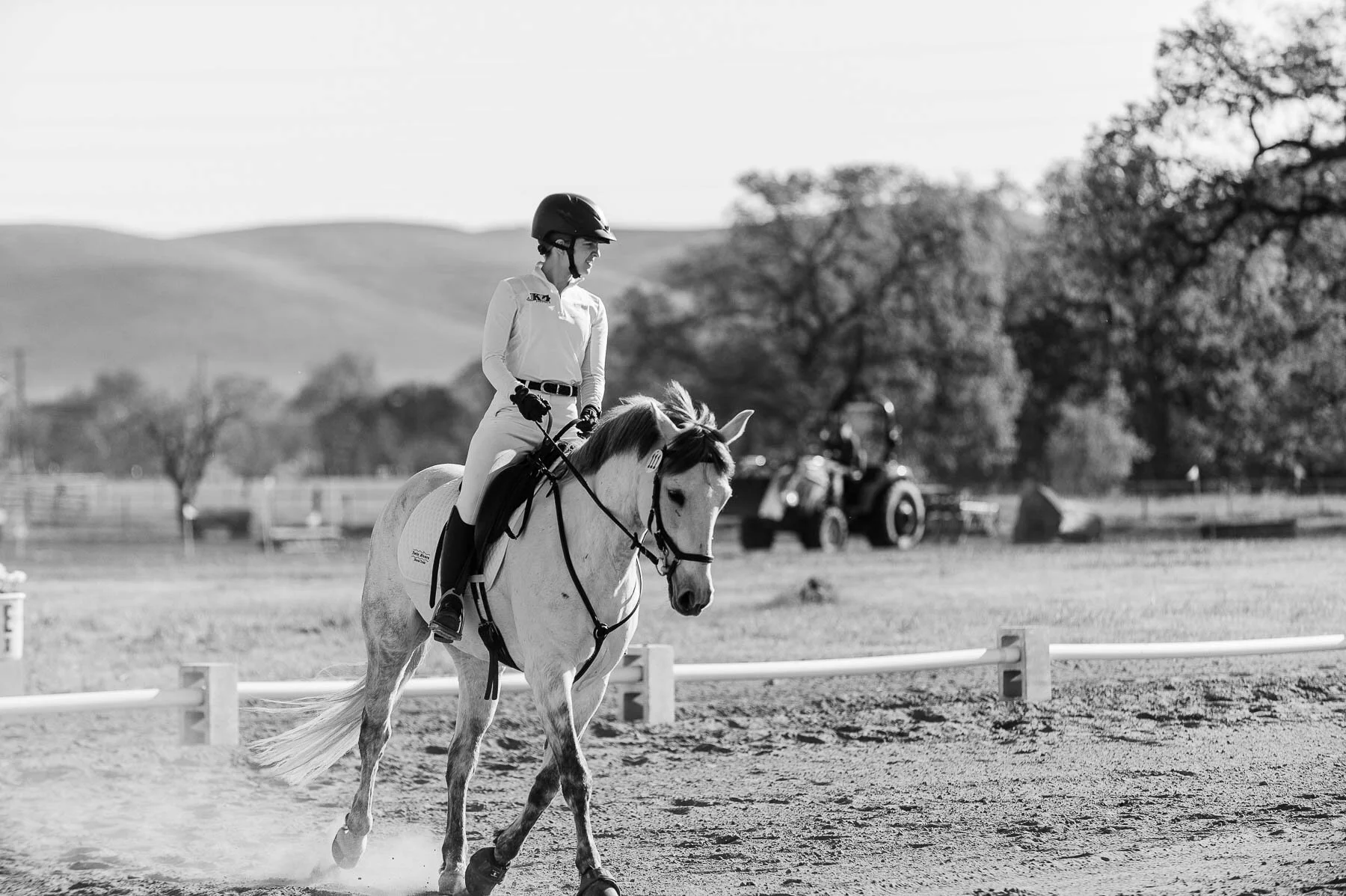 Equestrian Horse and Rider Photography — Michaela Joy Photography