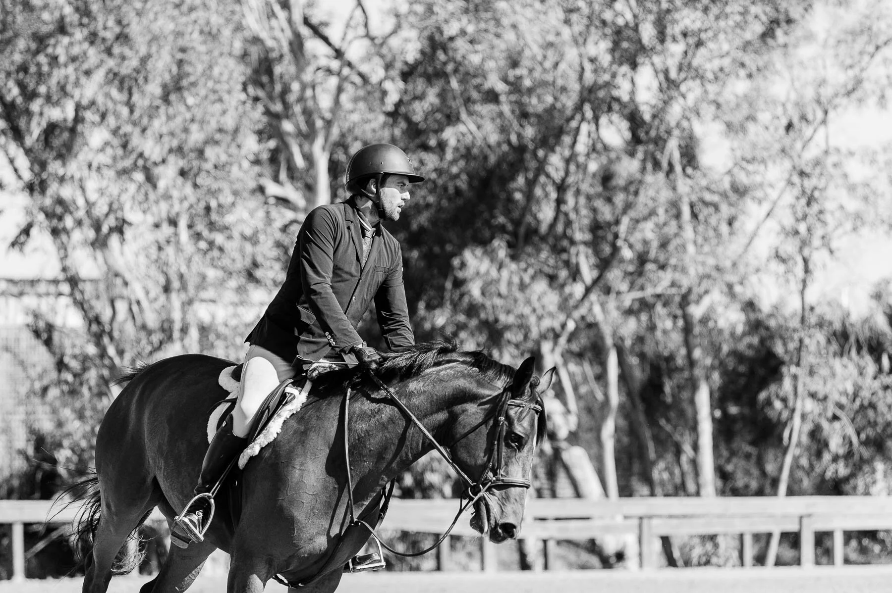 Equestrian Horse and Rider Photography — Michaela Joy Photography