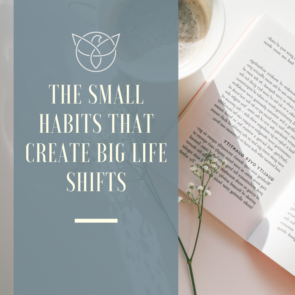 The Small Habits That Create Big Life Shifts: Simple Daily Changes for ...