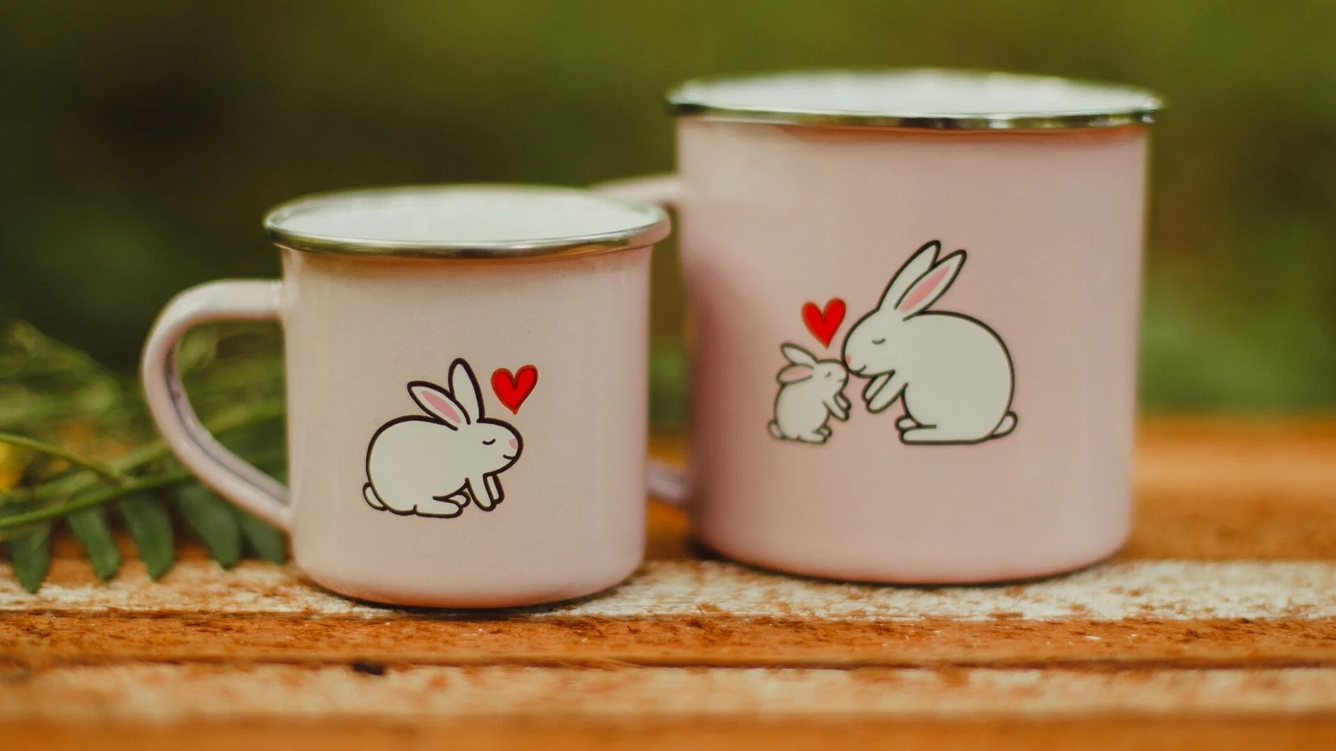 Jack Rabbit — Sugar B