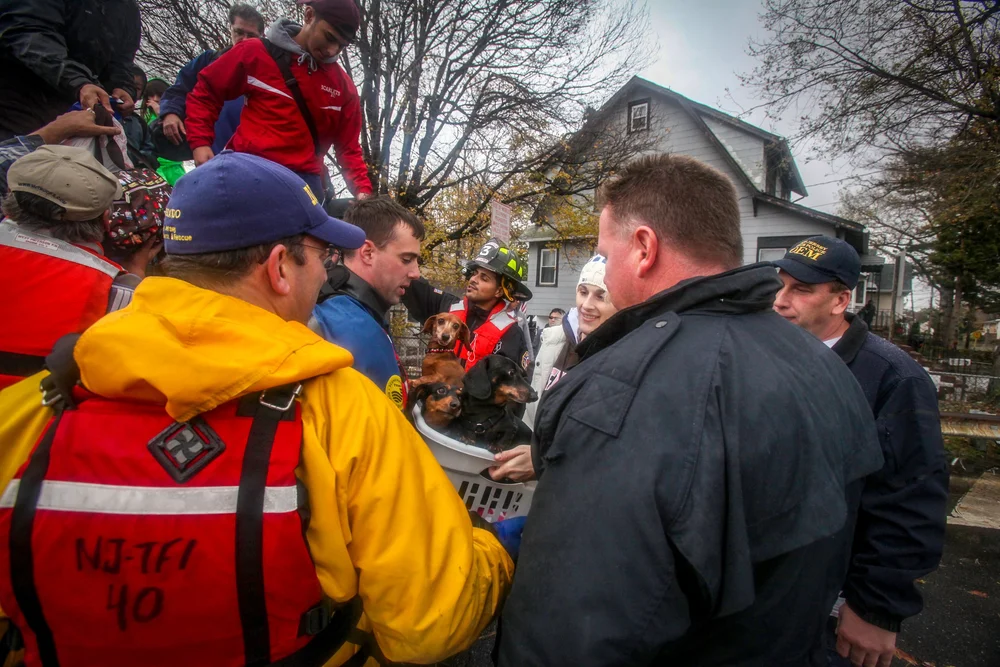 Remembering Hurricane Sandy — THOMAS E. FRANKLIN