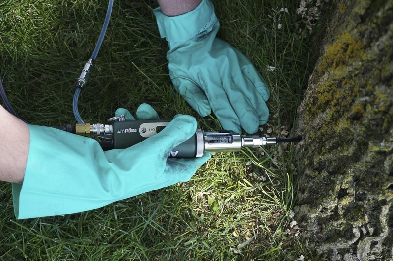 Emerald Ash Borer Evaluation and Treatment in Madison, WI