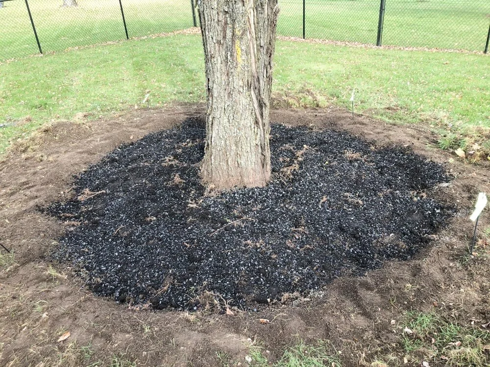 Tree Biostimulant & Prescription Deep Root Fertilizations