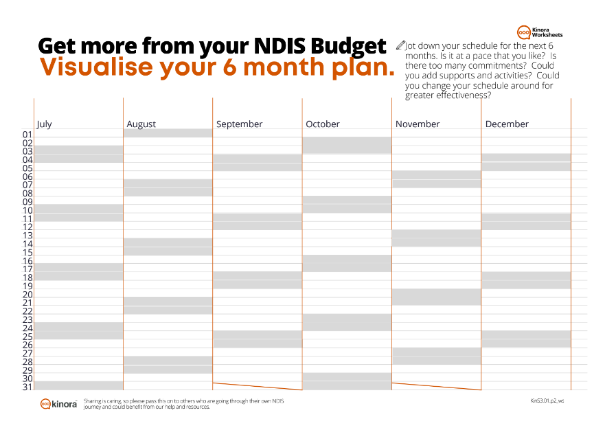 NDIS Budget - 6 month planner — NDIS Solutions