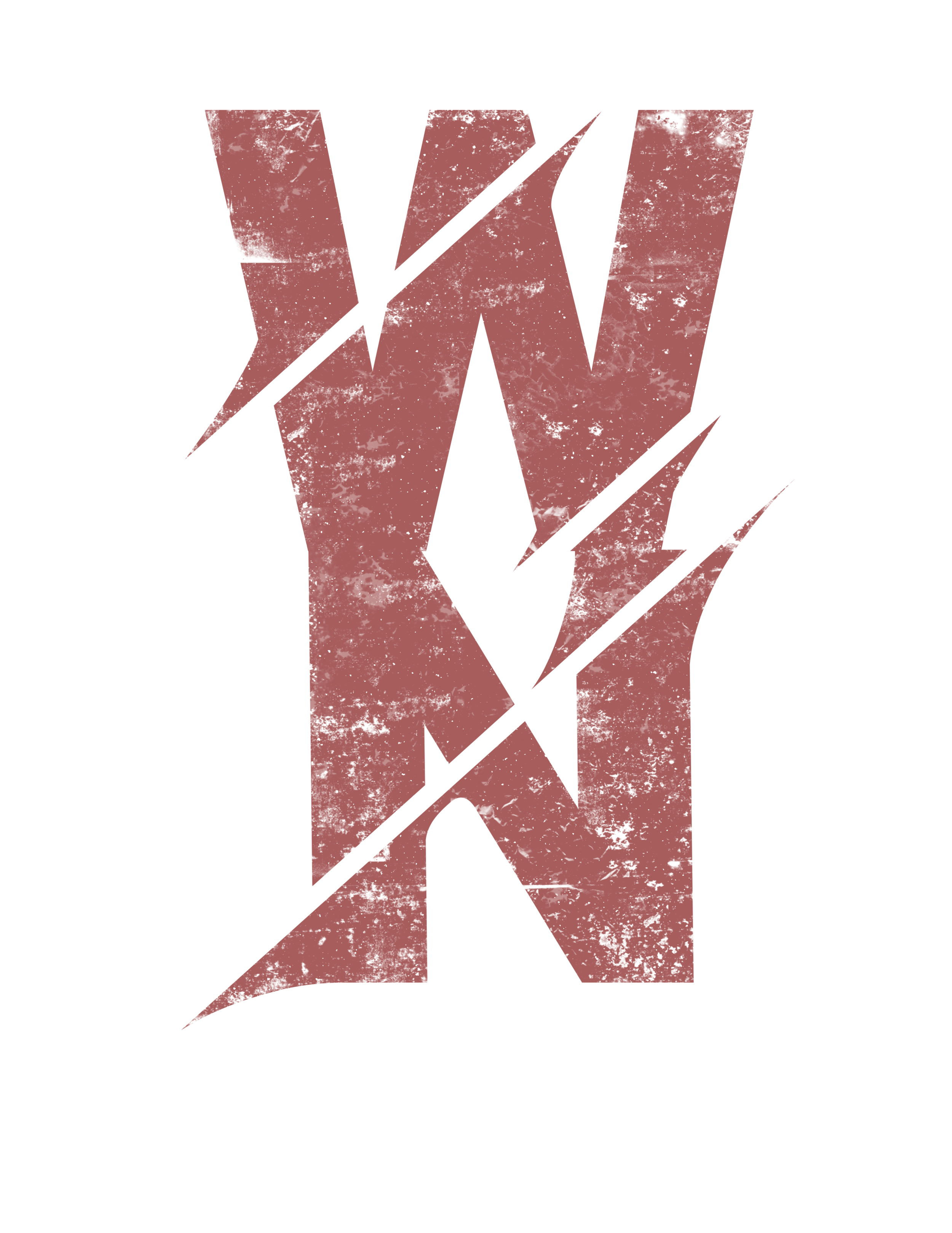 Warriors Nation MMA
