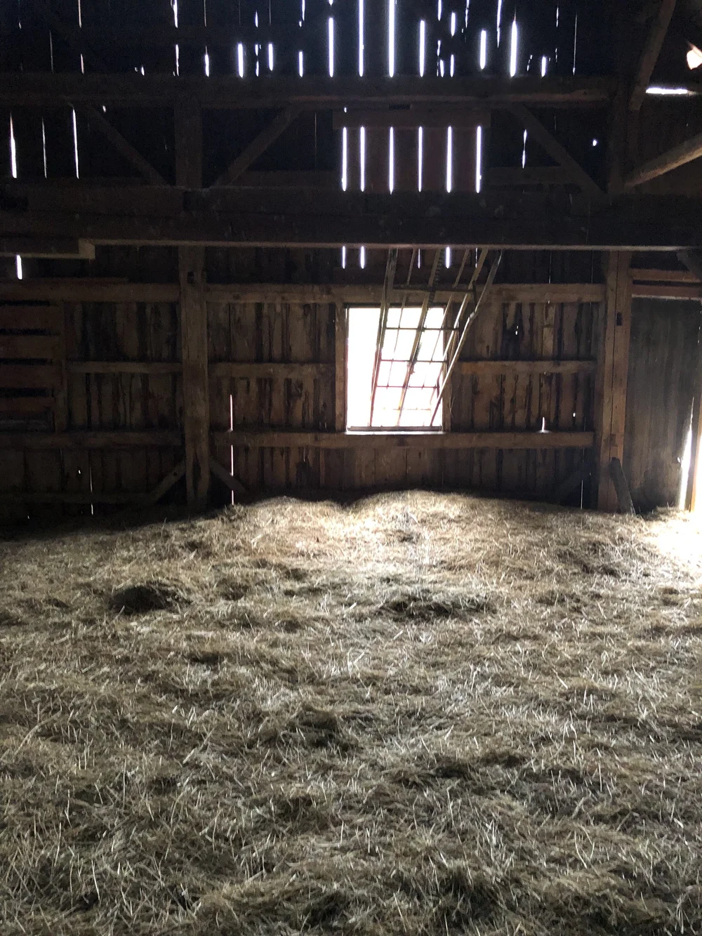 Construction Gallery — THE BARN OPERA